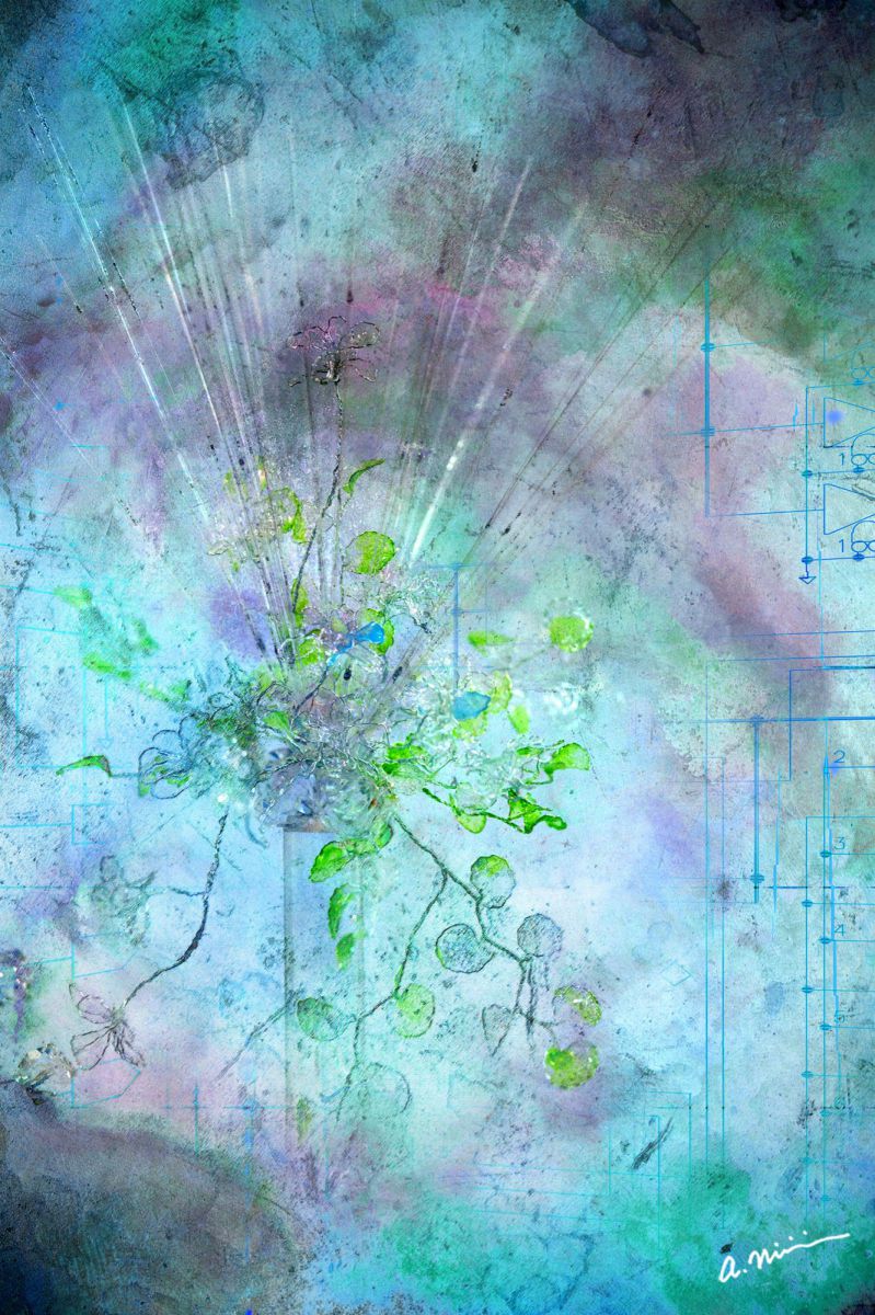 glass plant | GANREF