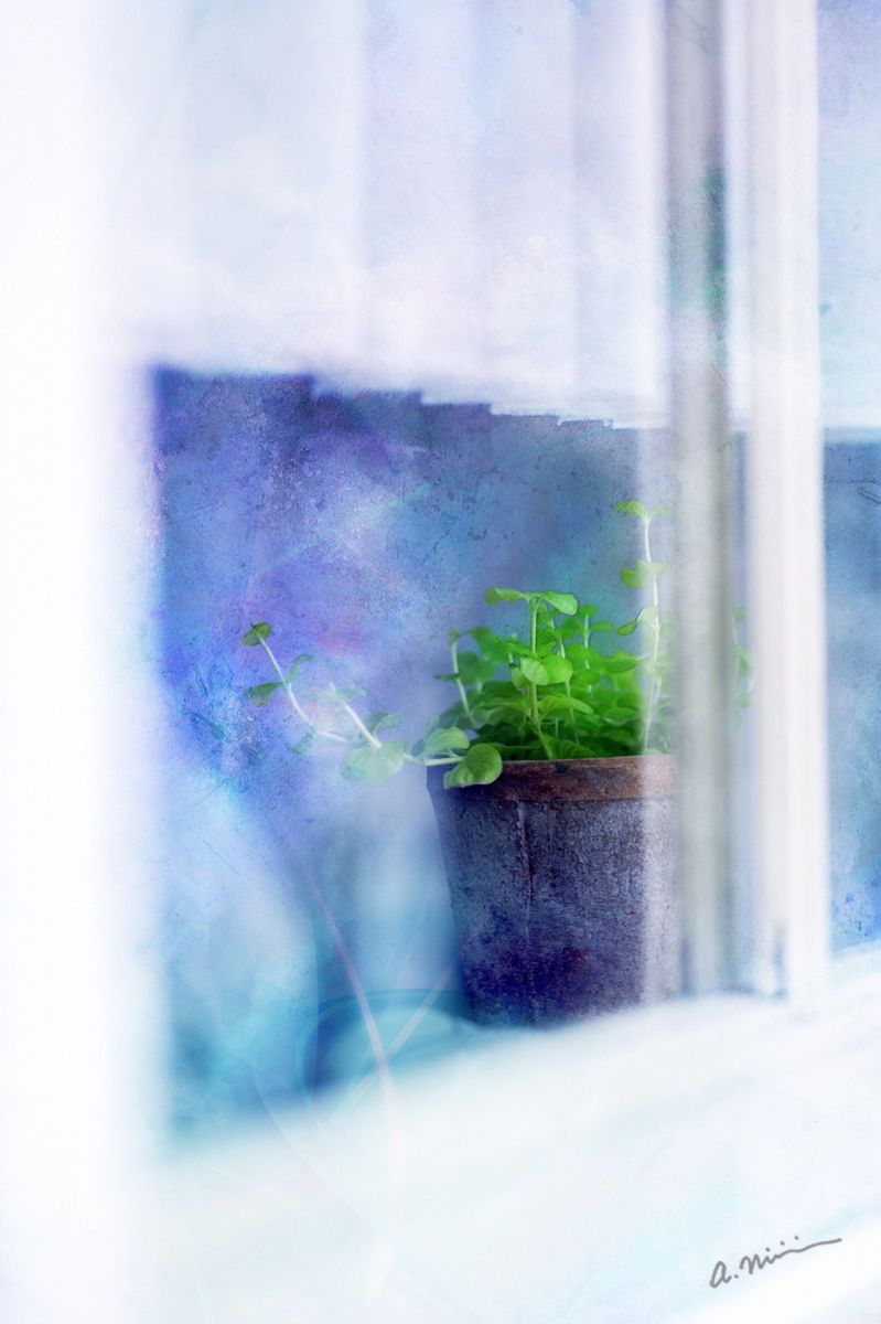 Side of the window | GANREF