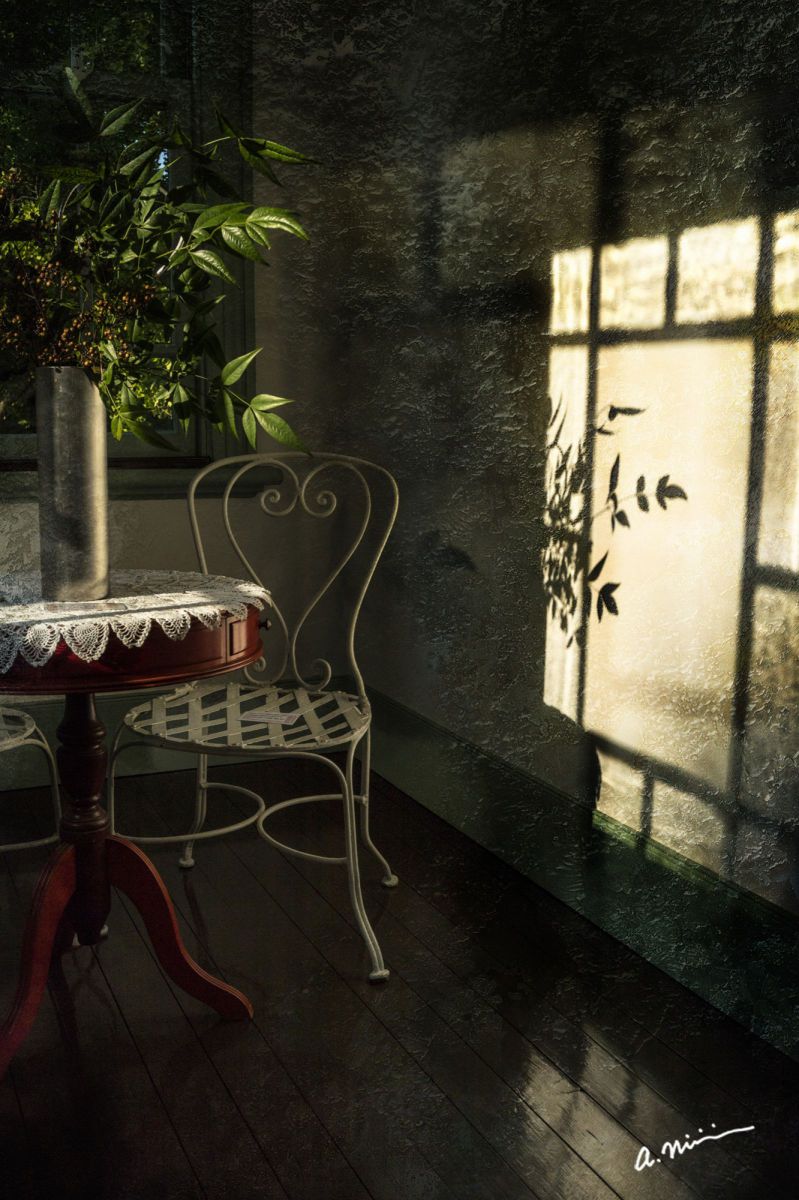 Shadows & Lights | GANREF