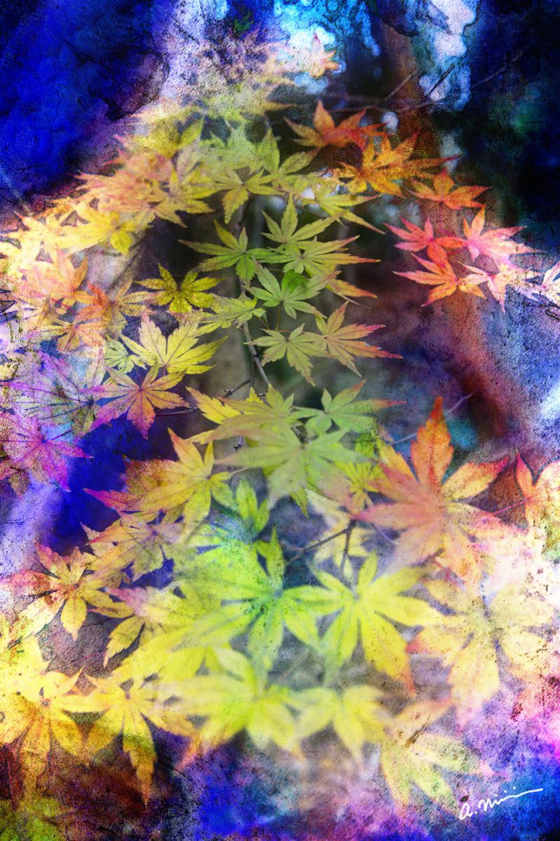 Autumn to Fall | GANREF