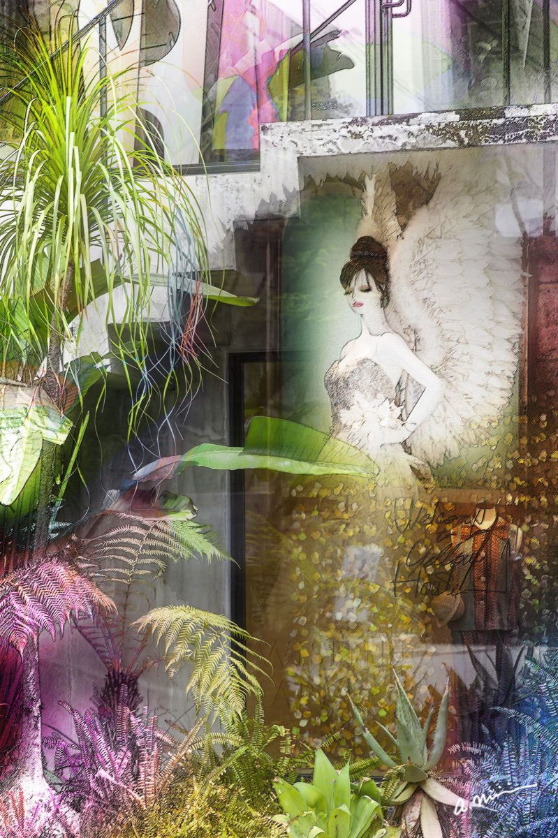 White Wings | GANREF