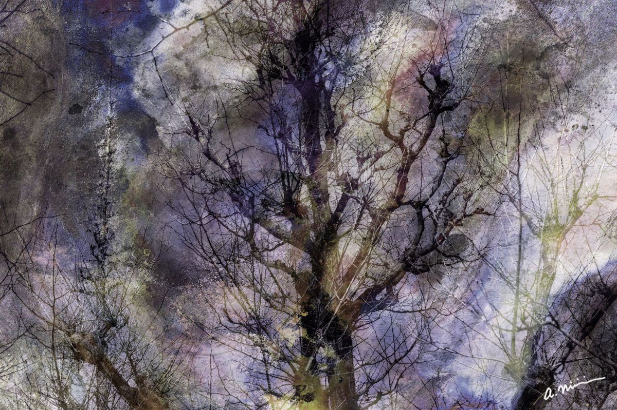 tree of winter | GANREF