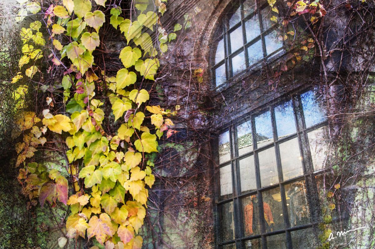 Yellow and Window | GANREF