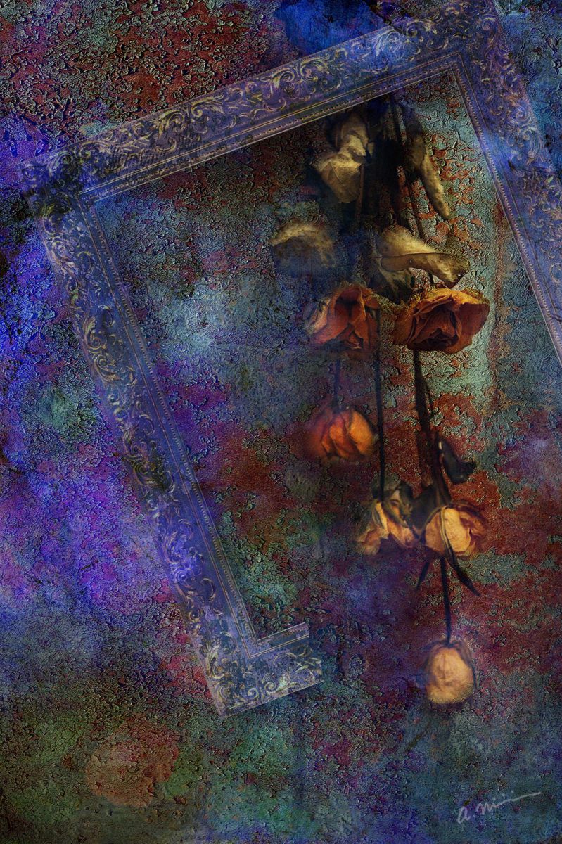 broken frame | GANREF