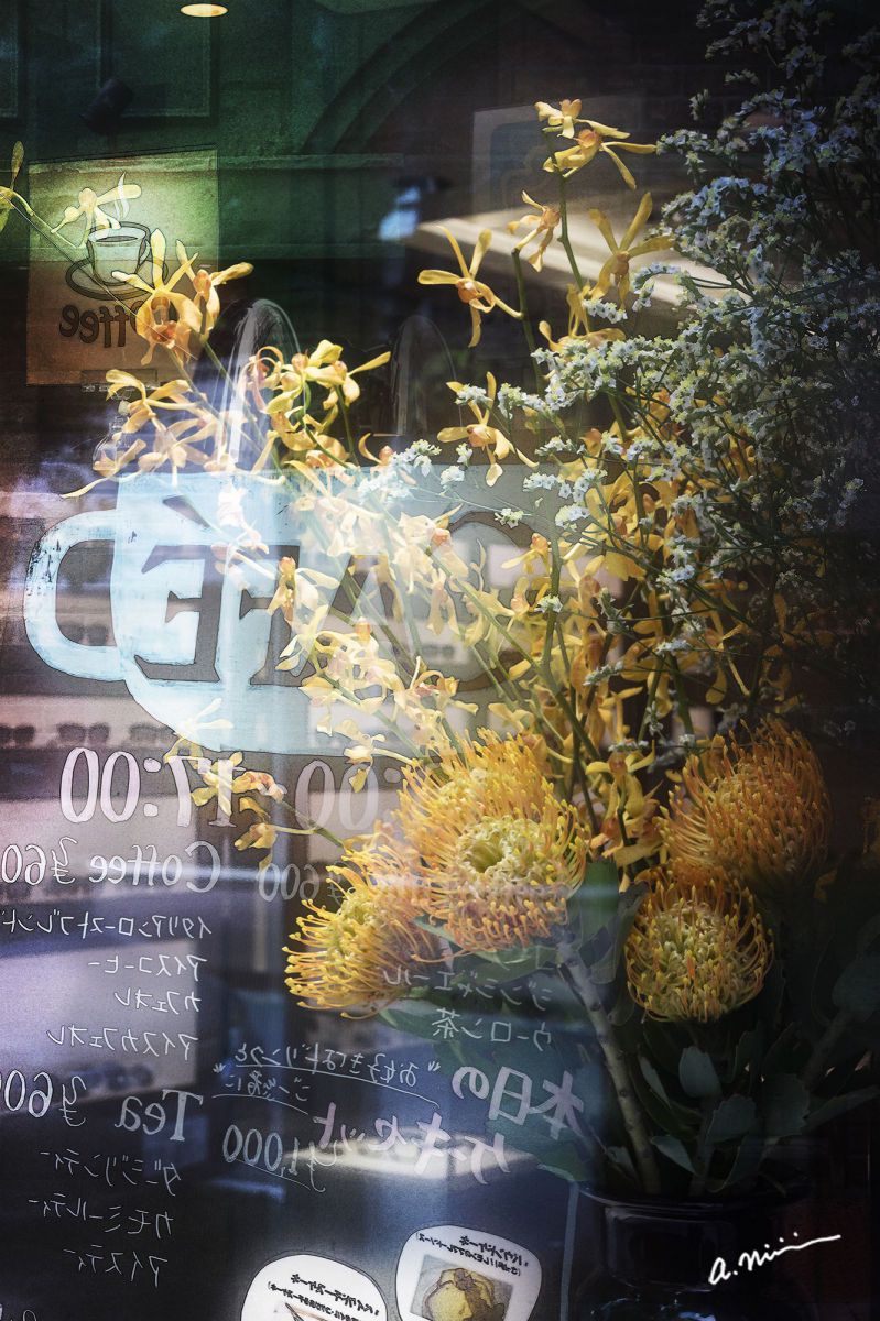 Show-case II | GANREF