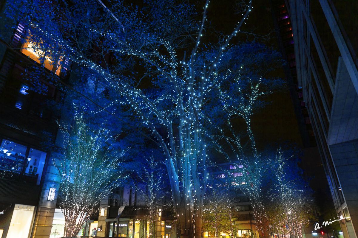 Illumination of the urban trees | GANREF