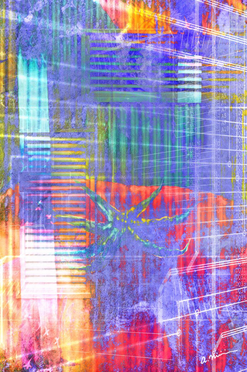 painted tomato | GANREF