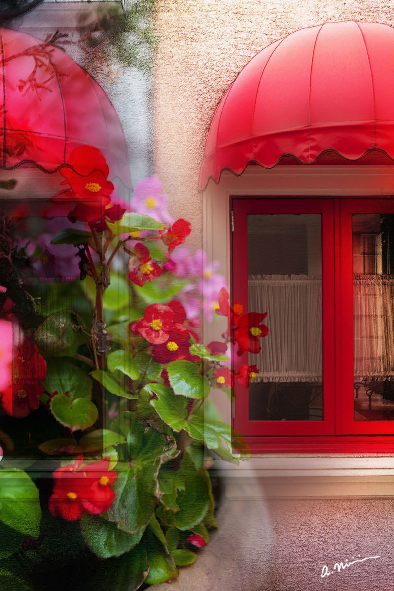 Frame is Red | GANREF