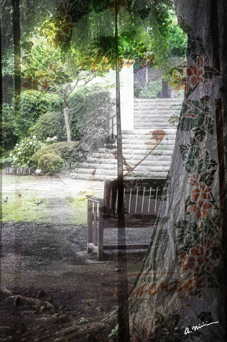 screen shade | GANREF