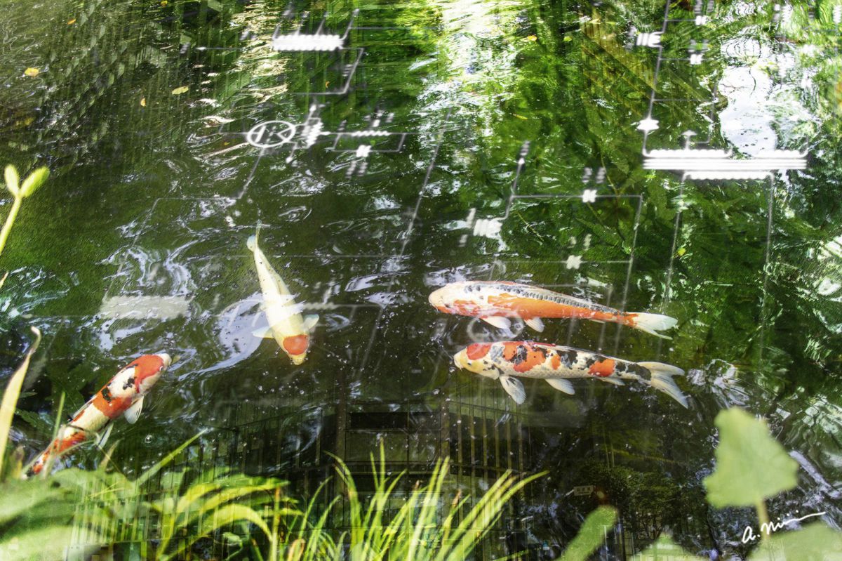 Mechanical Pond | GANREF