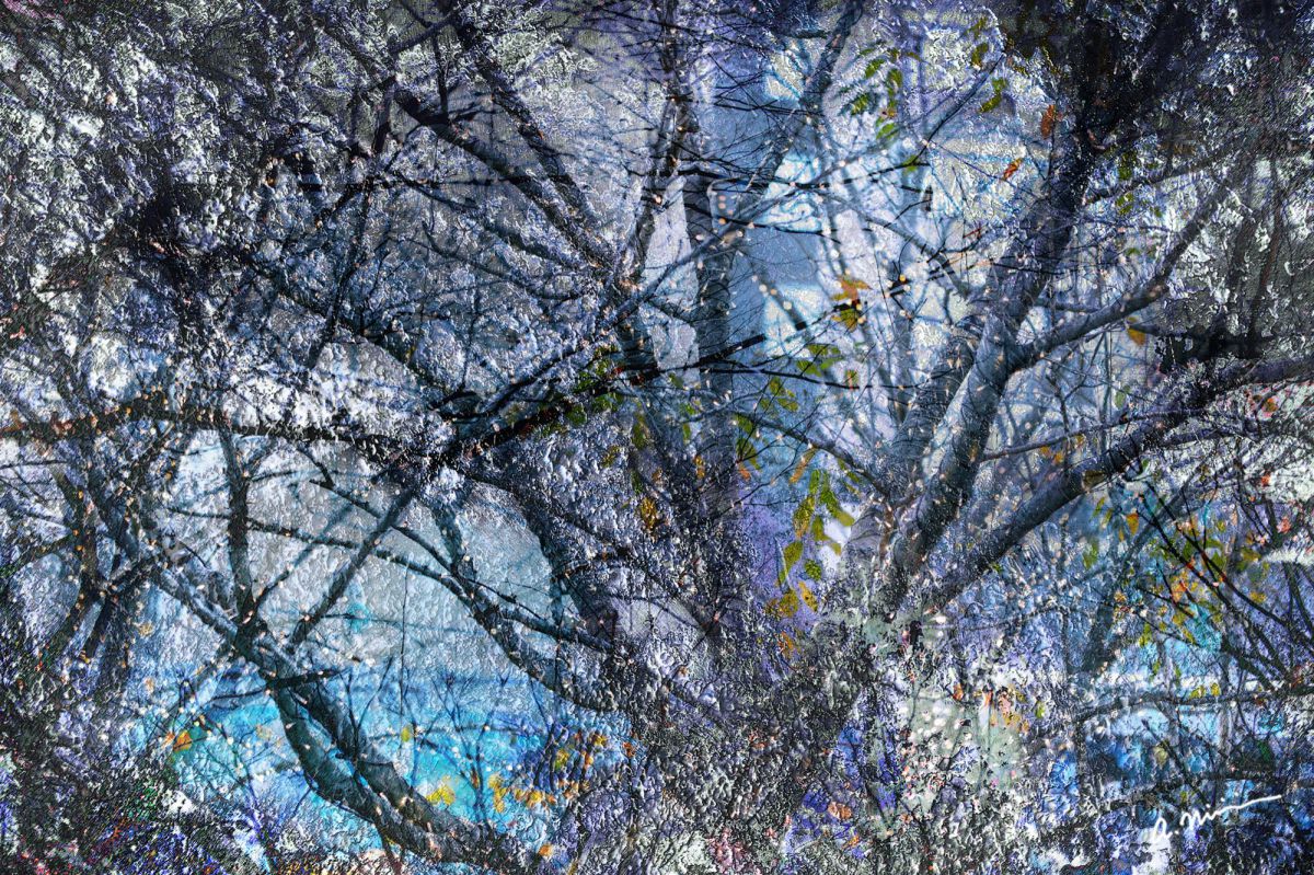 Winter Again | GANREF