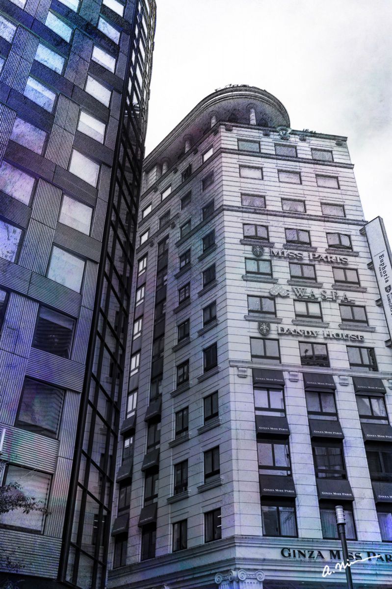 GINZA MISS PARIS | GANREF