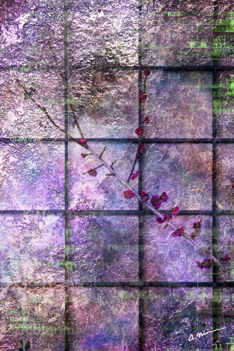 square circle | GANREF