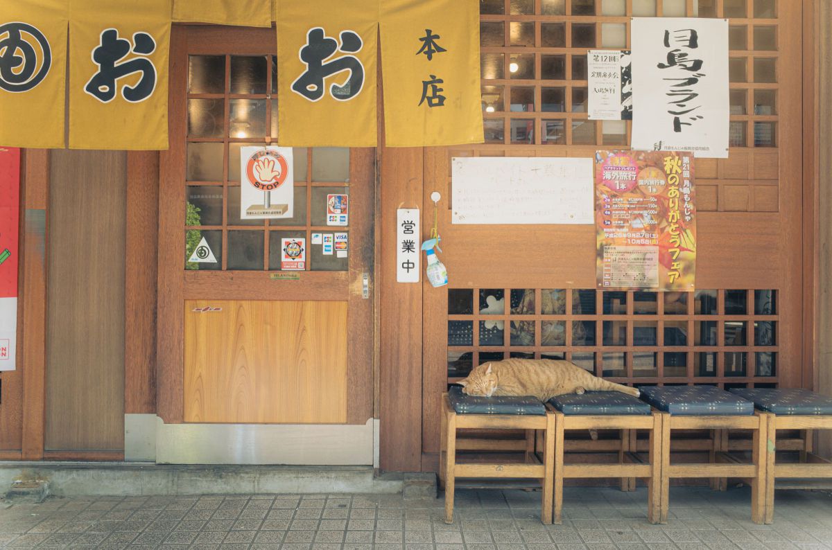 Street scene#134 | GANREF