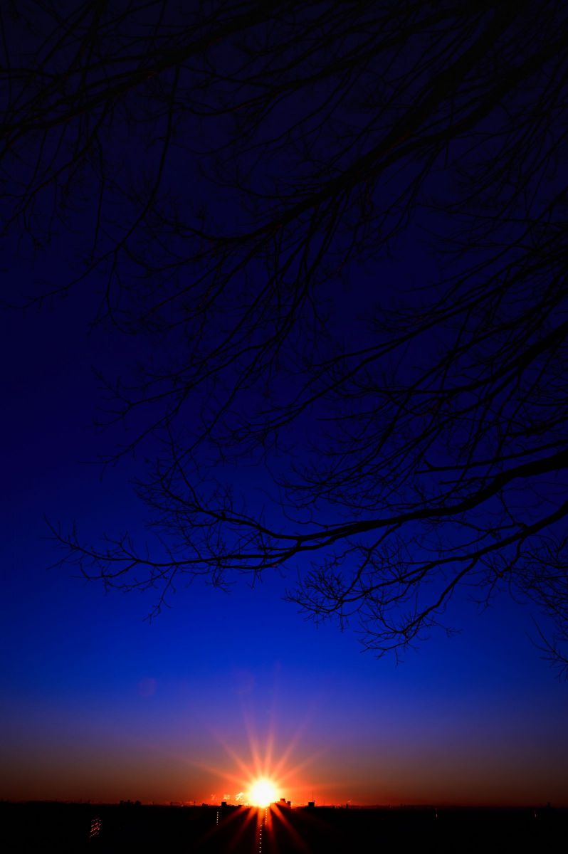 Let's begin . | GANREF