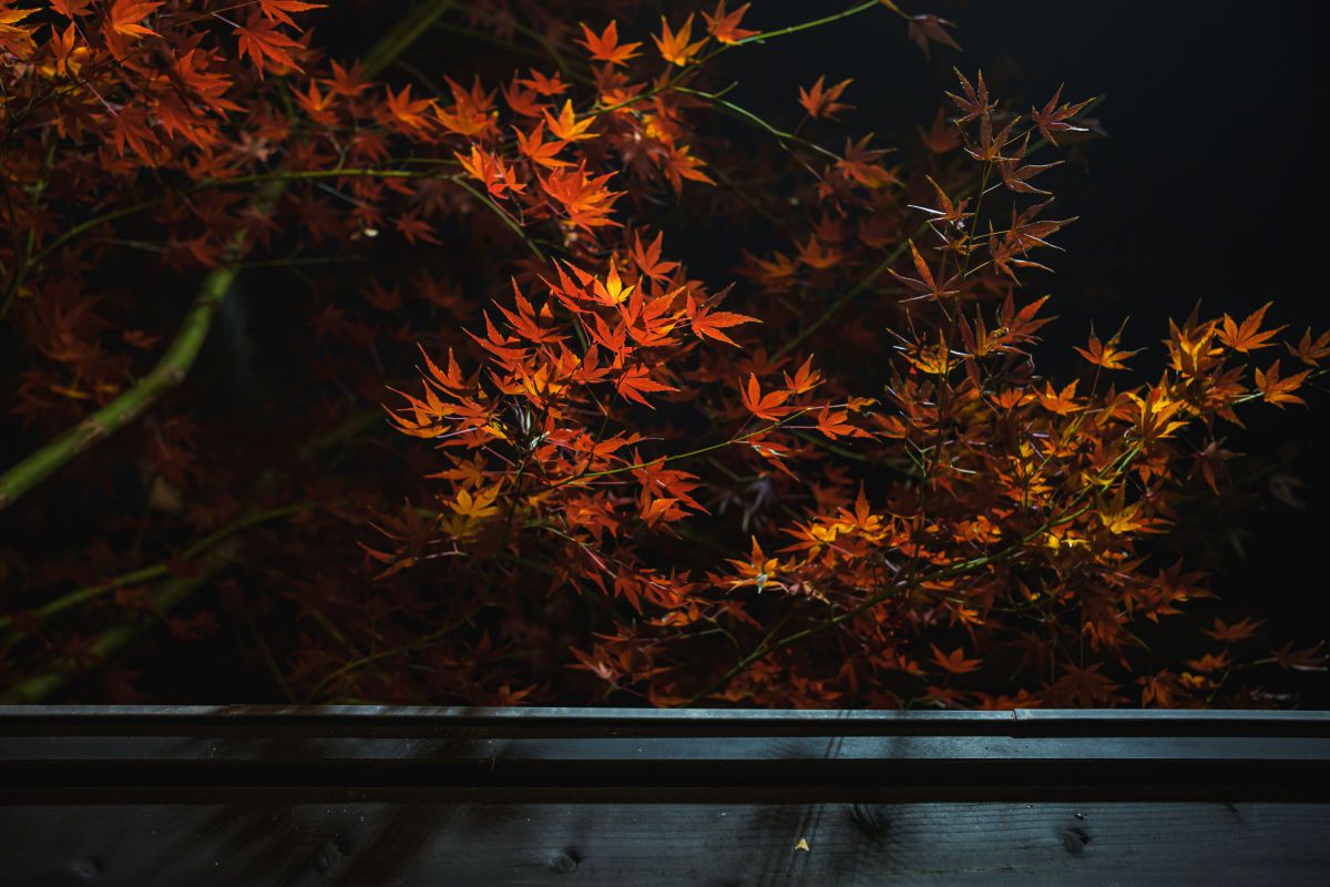 Street Scene #7 | GANREF