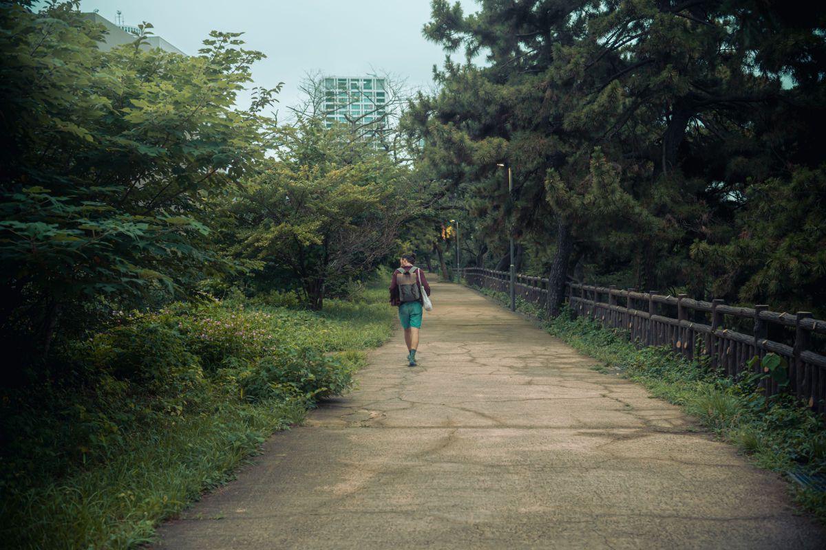 Street scene#101 | GANREF