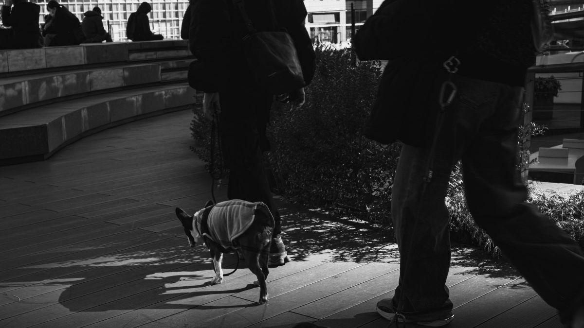 Street～scene#21～ | GANREF