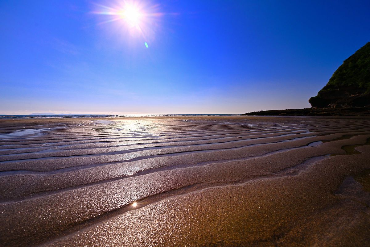 太陽がいっぱい | GANREF