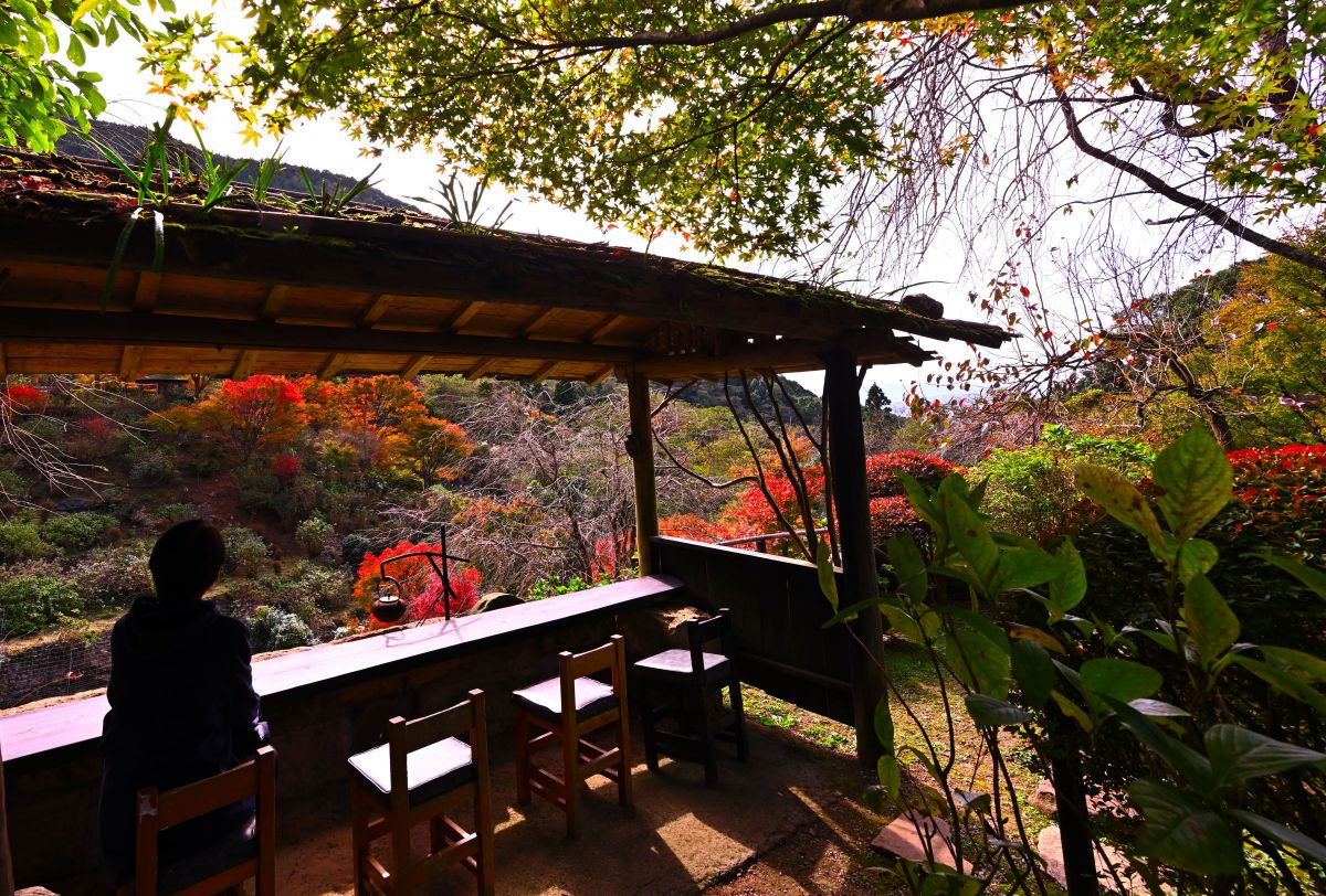 里山の秋 | GANREF