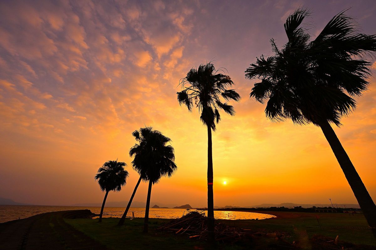 サンセットビーチ | GANREF