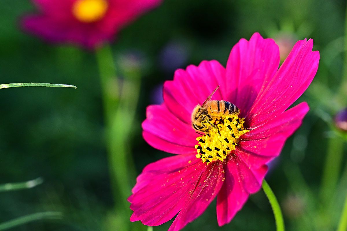 今を生きる | GANREF