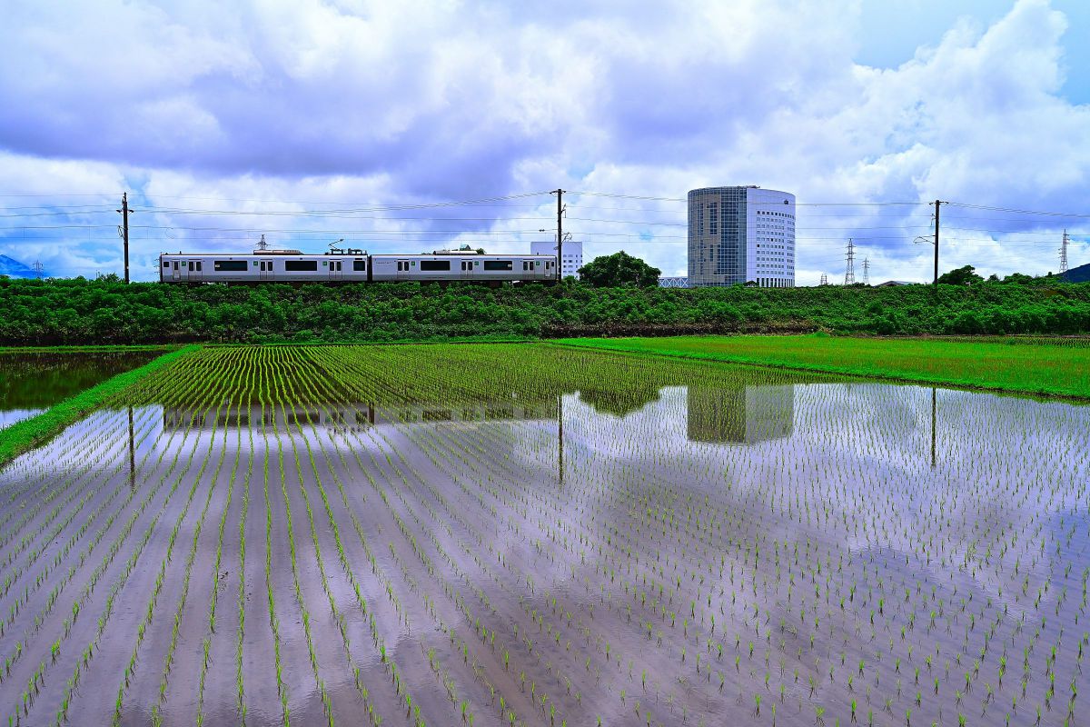 湿度90％ | GANREF