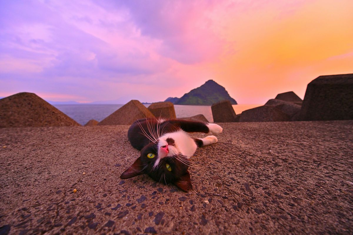 まったりと | GANREF