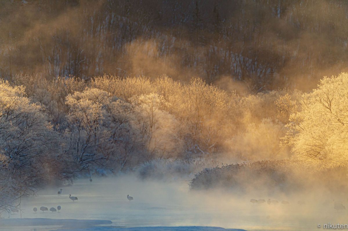 Light & Magic | GANREF