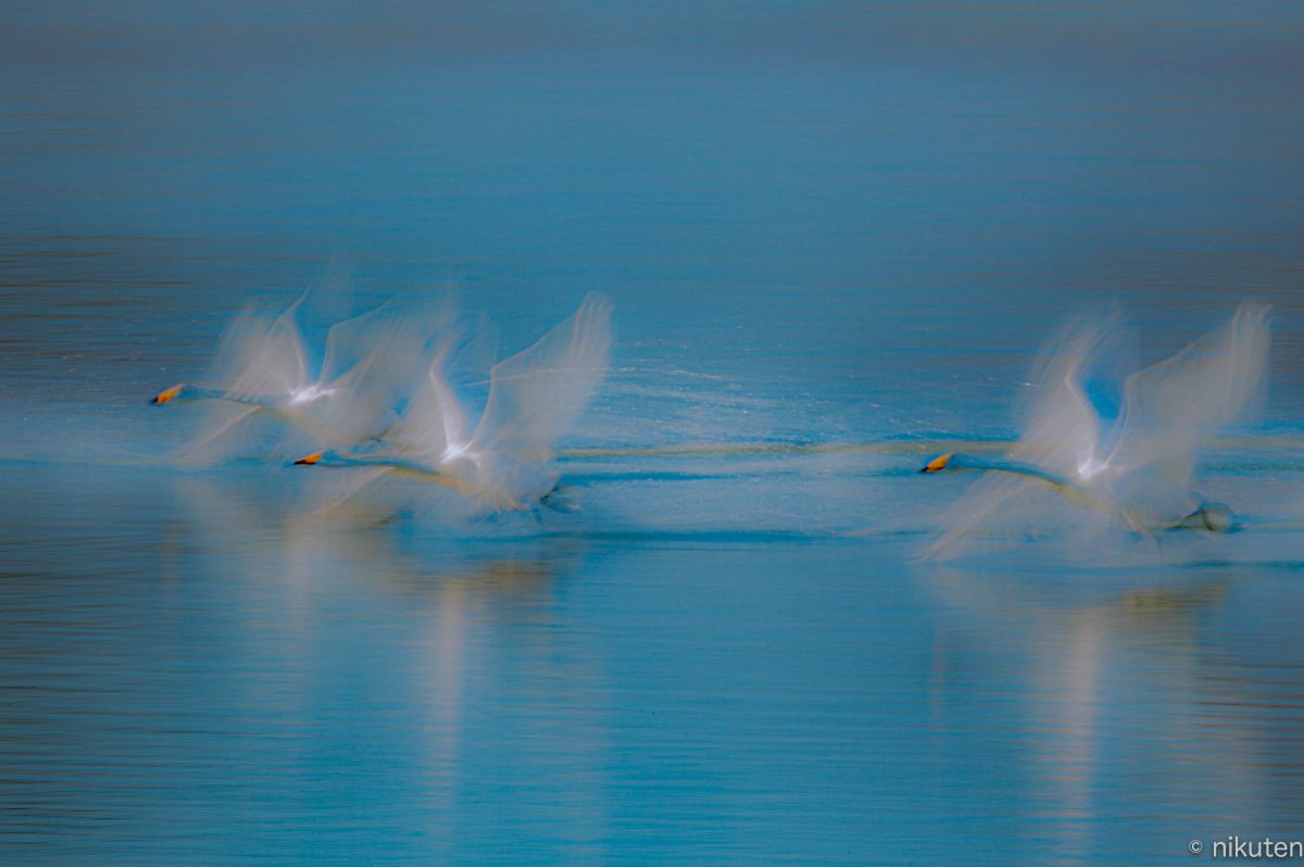 JET Stream 〜〜〜（Attack！) | GANREF