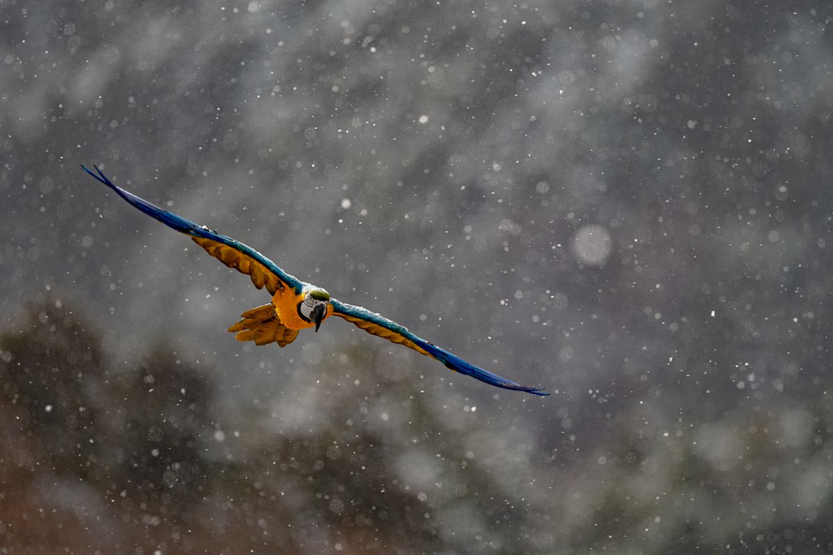 APS-Cなら口径食が目立たなく、いい感じです。 | GANREF
