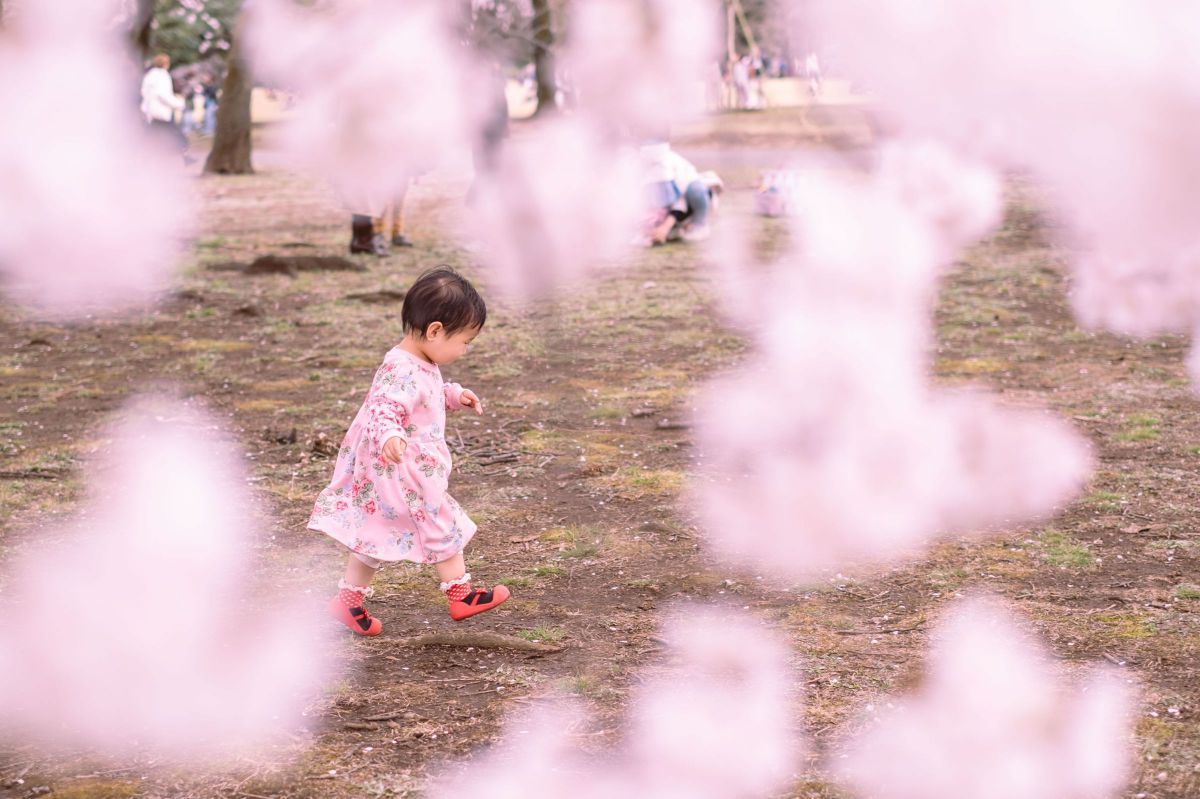 Spring in the park | GANREF