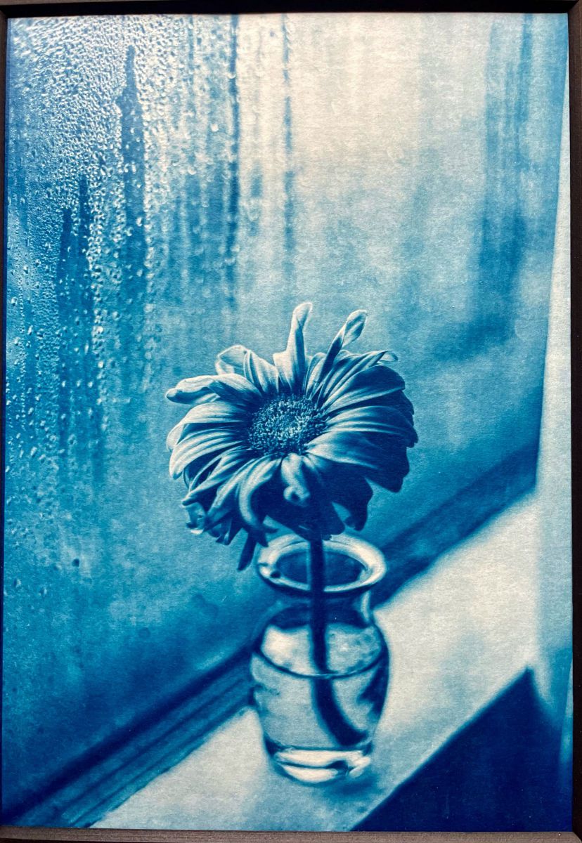 Plants Life 2025 | GANREF