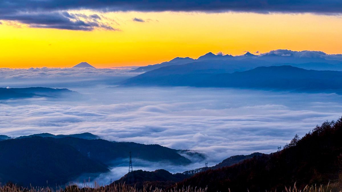 Dynamic Island | GANREF