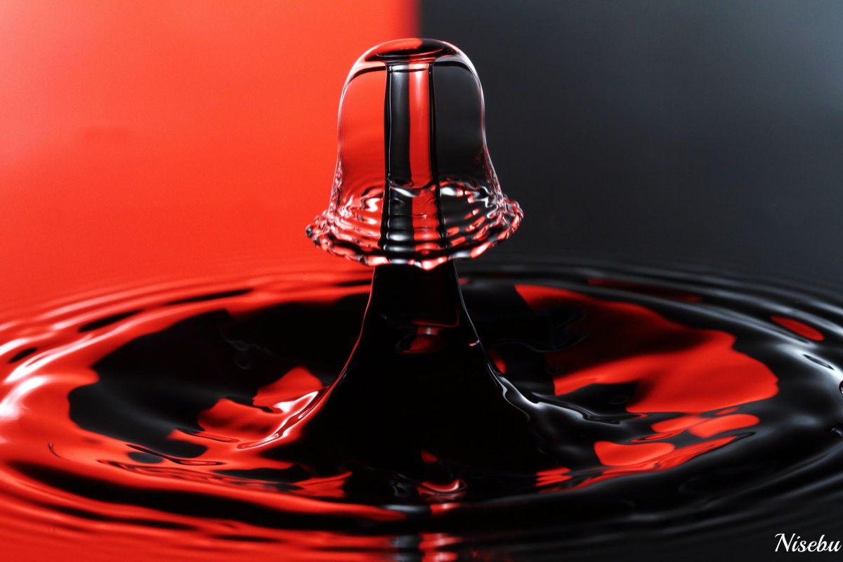 BLACK&RED No.2 | GANREF