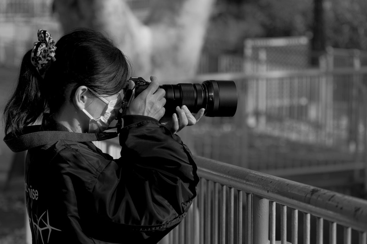 夢中で撮る人 | GANREF