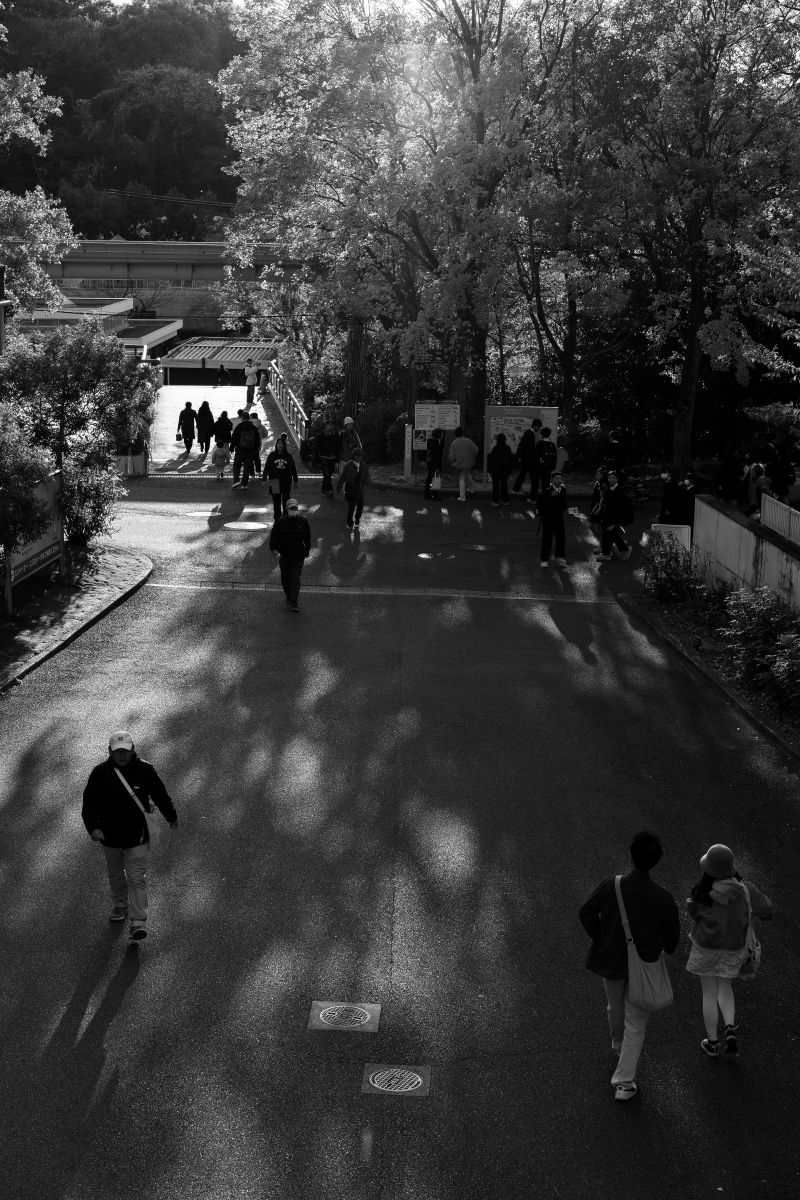 Quick & slow | GANREF