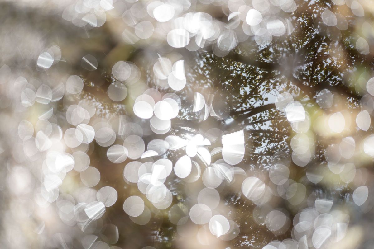 光のかたち | GANREF