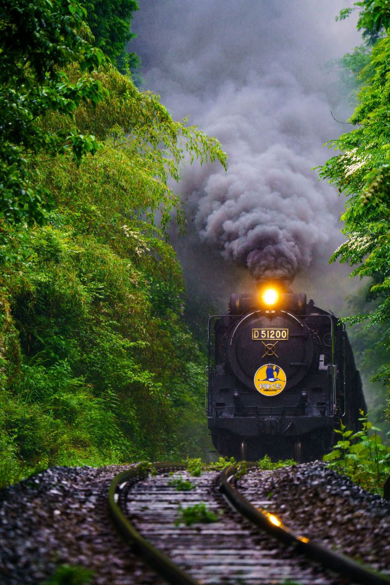 雨の峠越え | GANREF