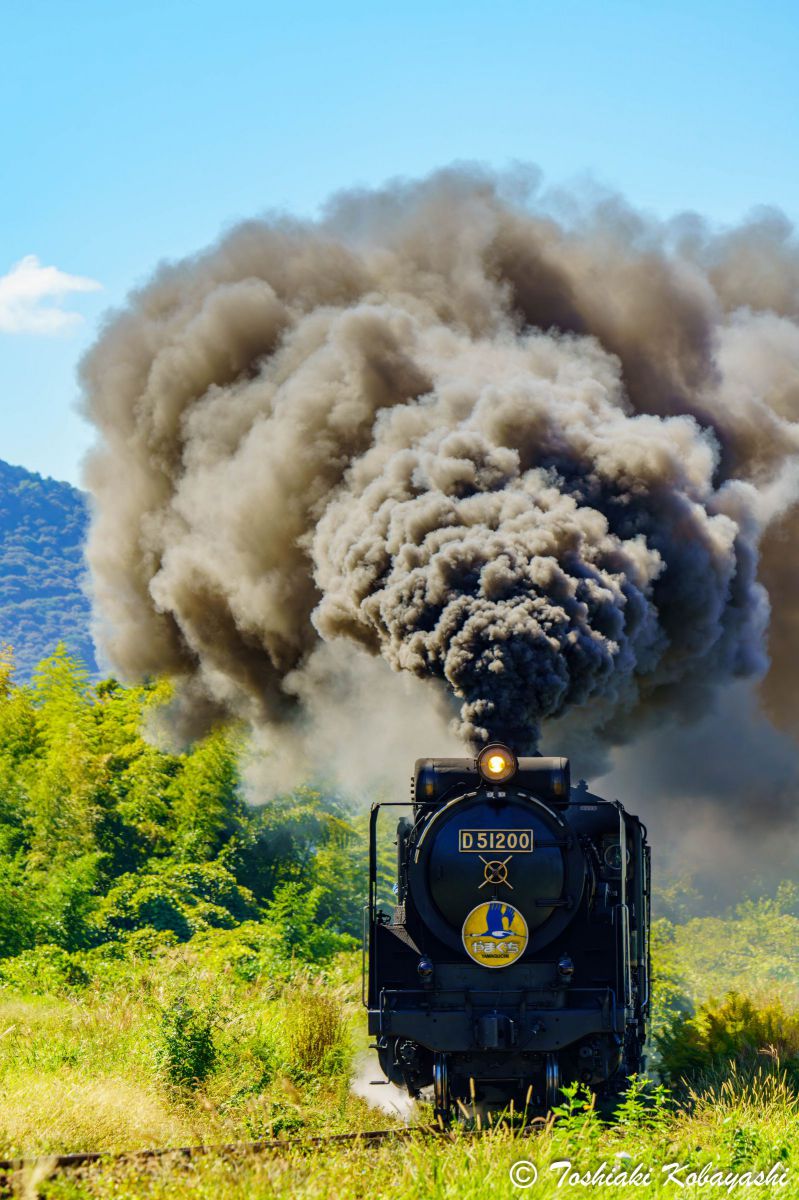 SLやまぐち大山路を行く | GANREF