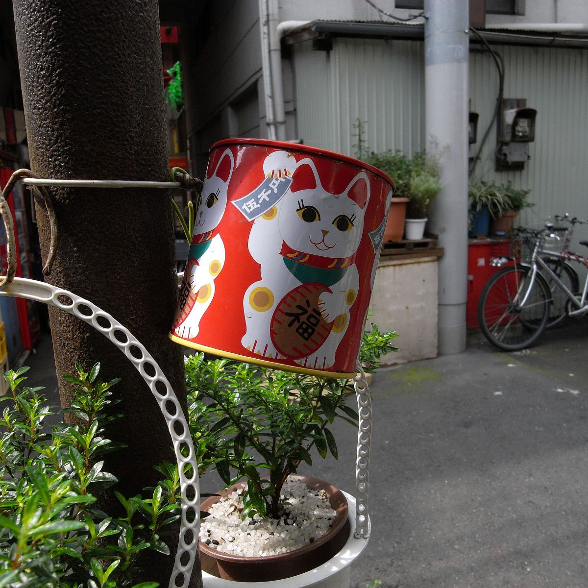 東京遊歩19 | GANREF