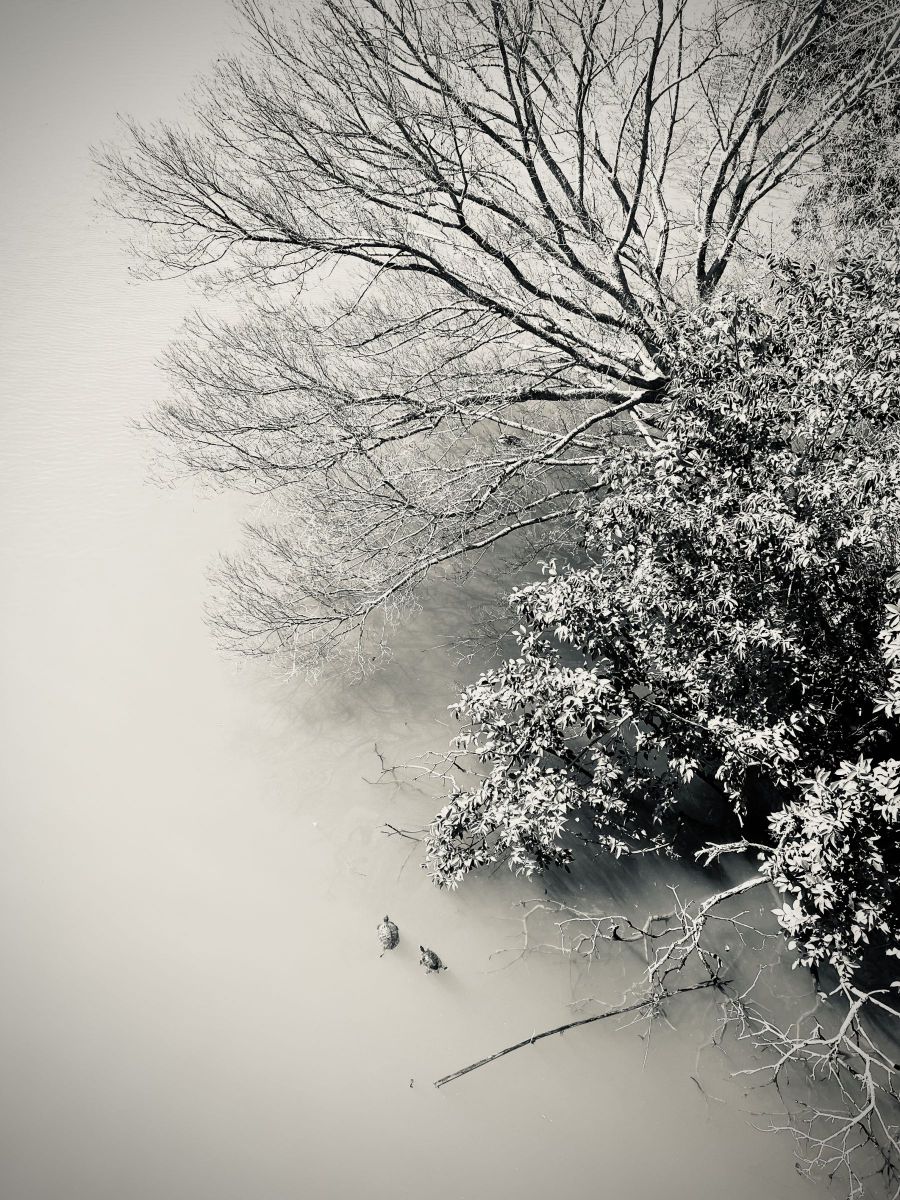 Just two of us | GANREF