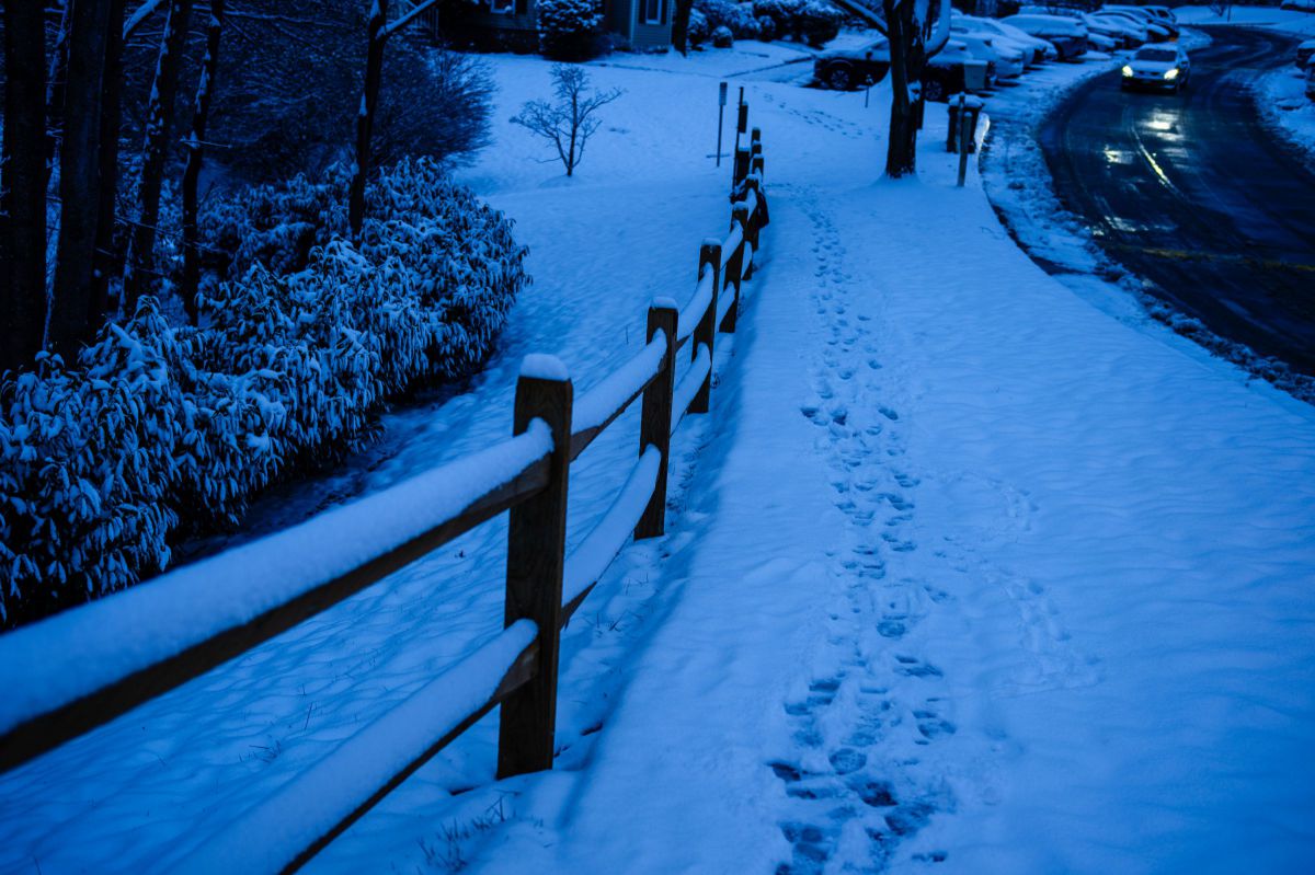 Snow morning | GANREF