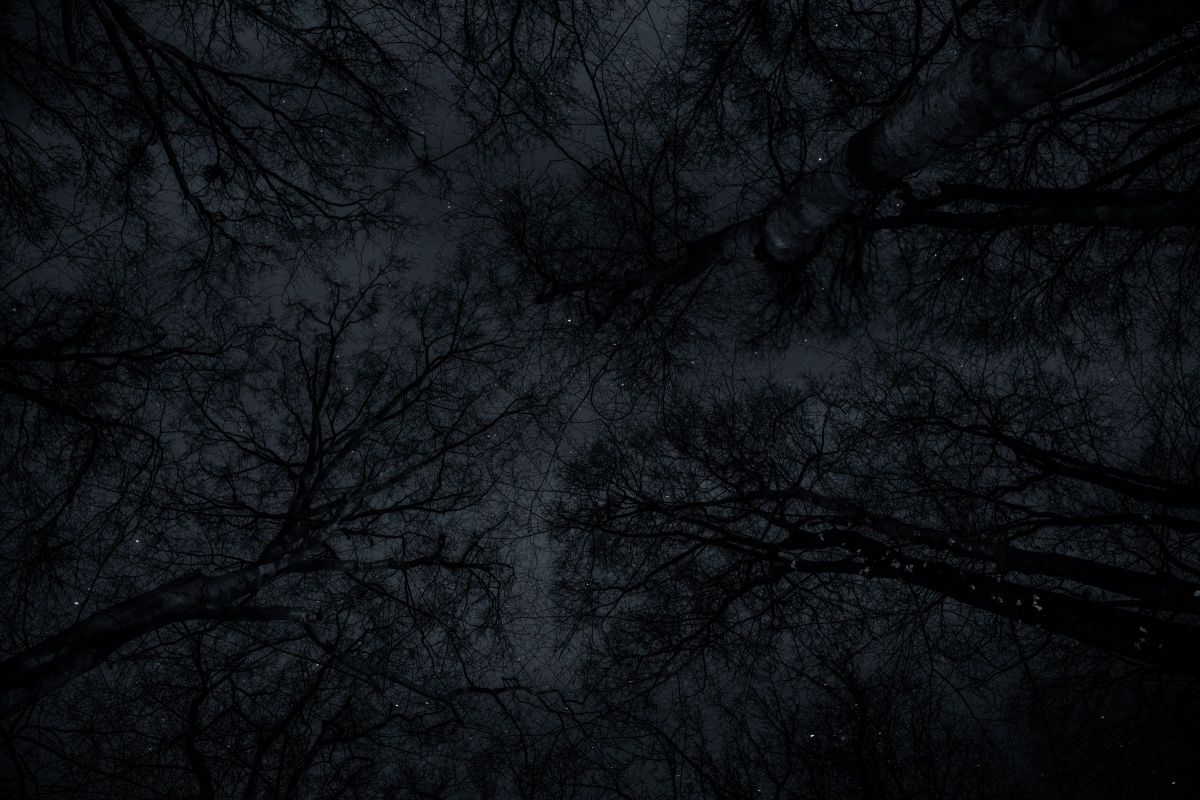 Black in Black | GANREF