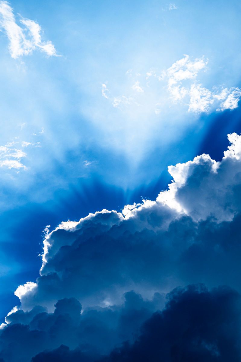 Summer Cloud | GANREF