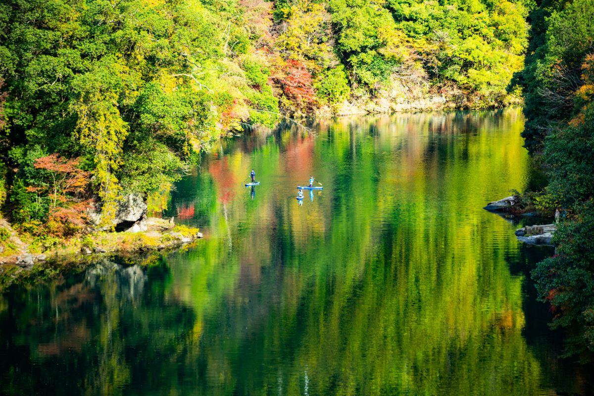 Enviable view | GANREF