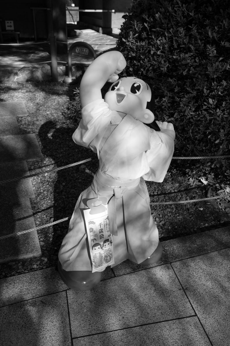 お出かけ(196)-1（七五三@櫻木神社） | GANREF