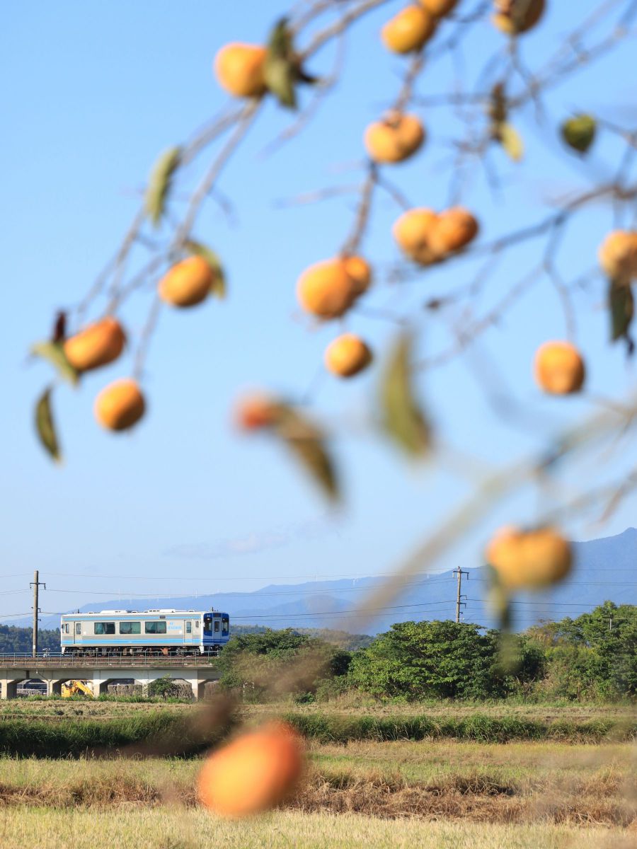 秋深まる | GANREF