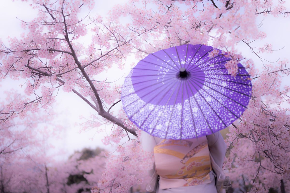 In full bloom | GANREF