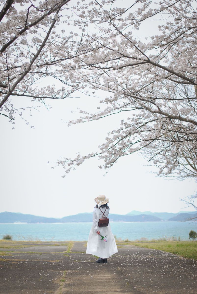 Haze of Memory | GANREF